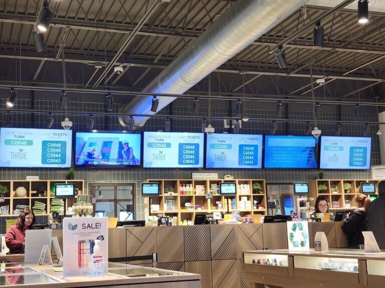 Queue Management System | Wavetec