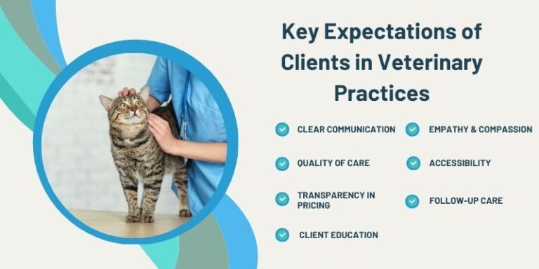 How to Enhance Customer Experience in Your Veterinary Clinic