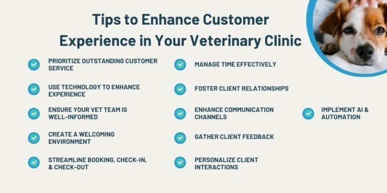 How to Enhance Customer Experience in Your Veterinary Clinic
