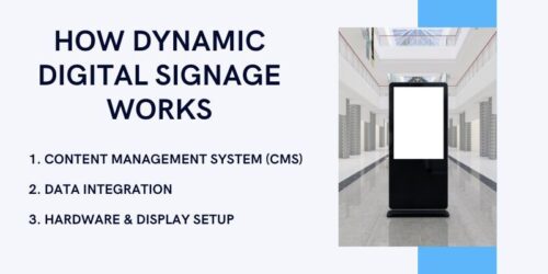What is Dynamic Digital Signage & Why It Matters – Wavetec Blogs